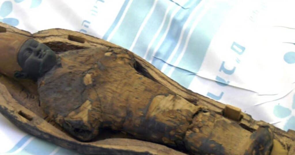 Secrets of 3,000-Year-Old Non-Human Mummies Revealed - Historyen