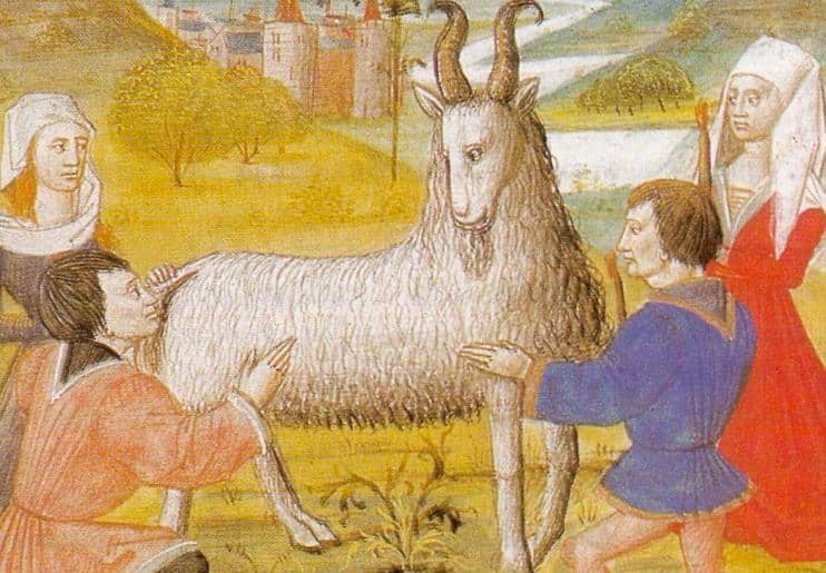 The Act of Kissing Animals' Anuses for Devil Worship: Osculum Infame ...